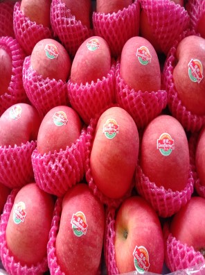 Apel Fuji Size 88 | Makaro